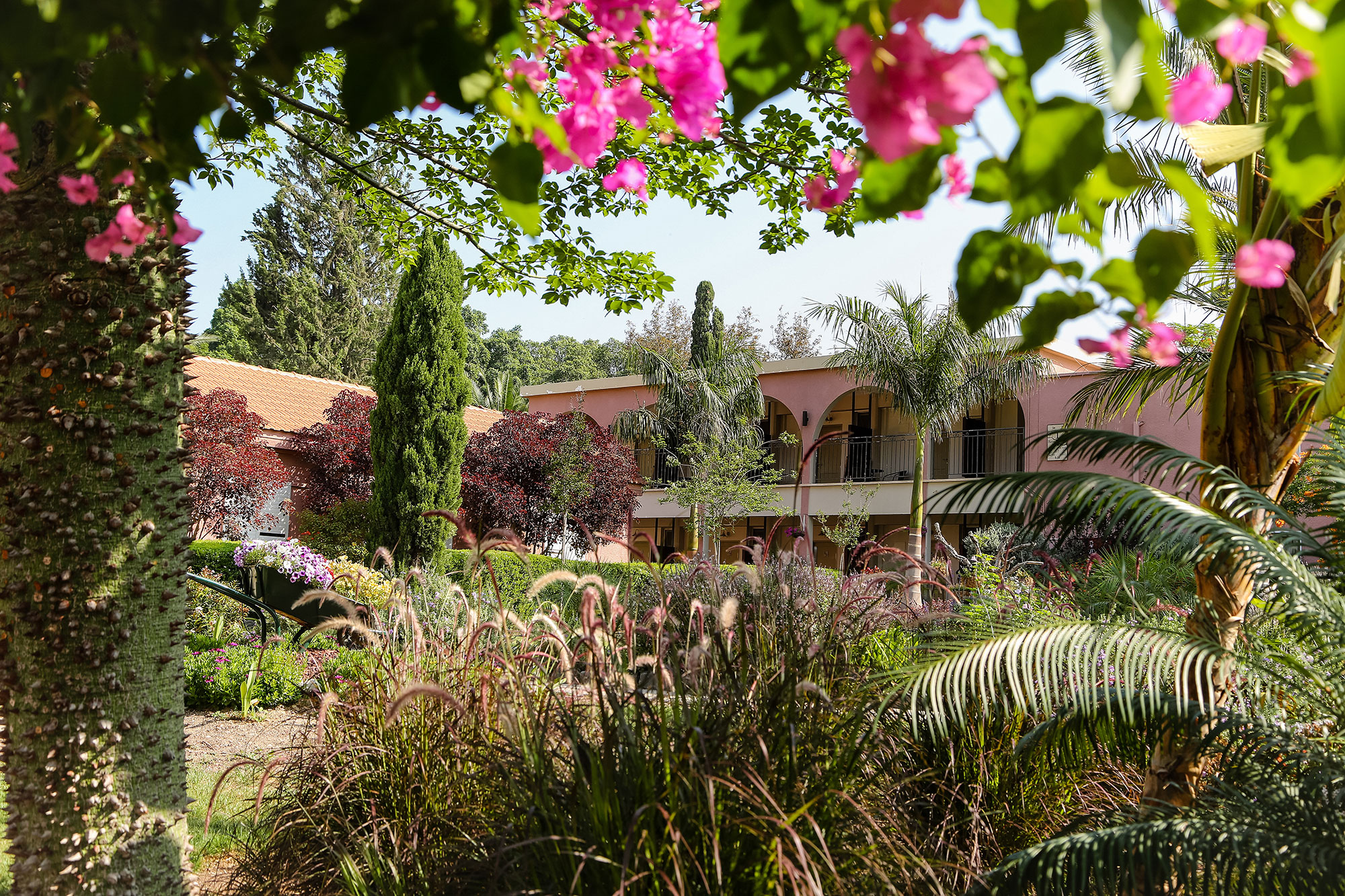 El Mul Golan - Country Lodging in Kibbutz Shaar Hagolan - אל מול גולן
